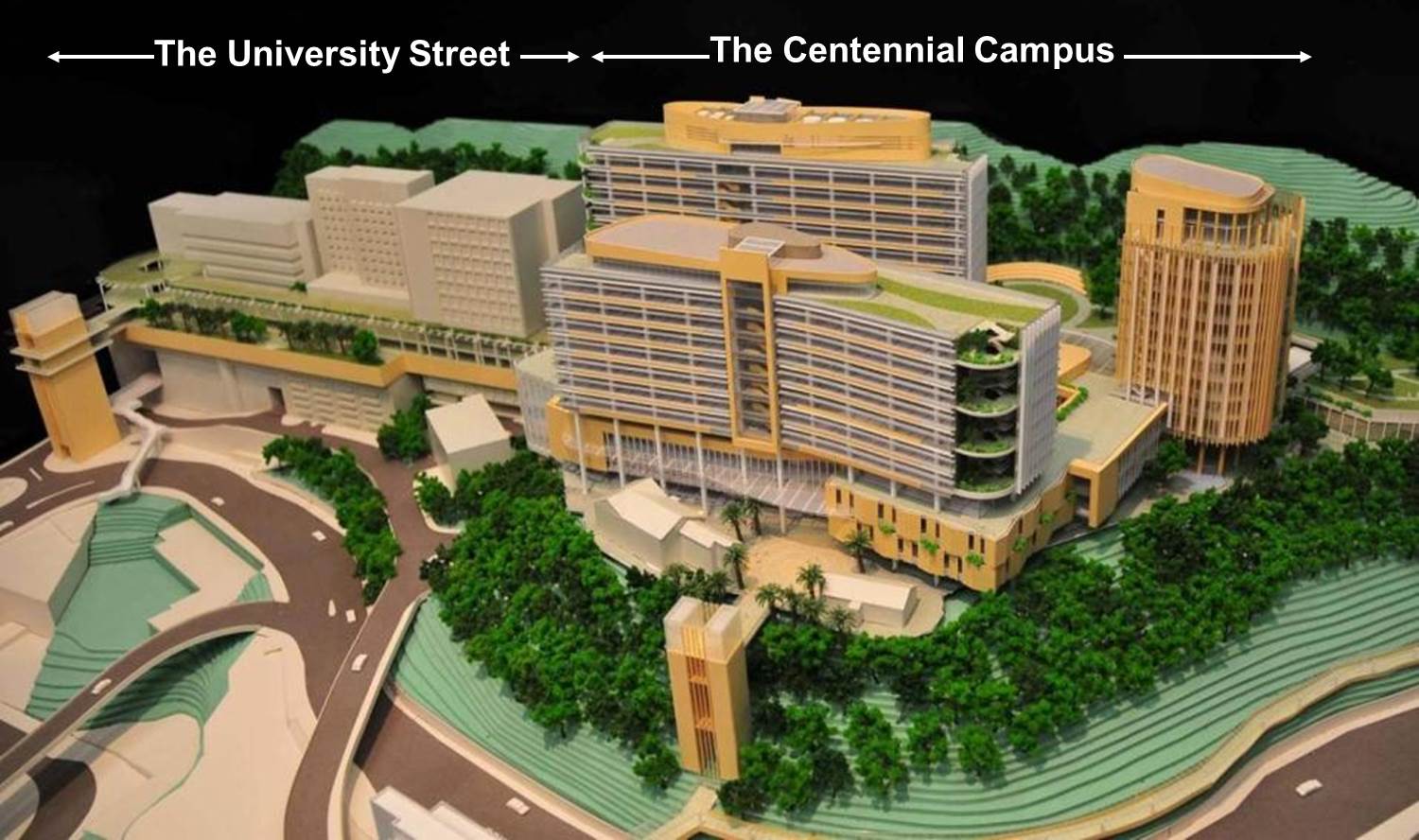 HKU Estates Office :: Centennial Campus Master Plan